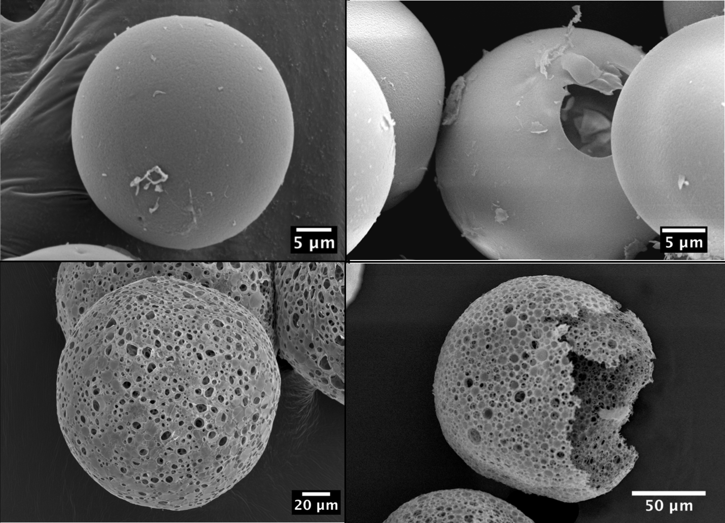 Martinez Research Lab @ Purdue University